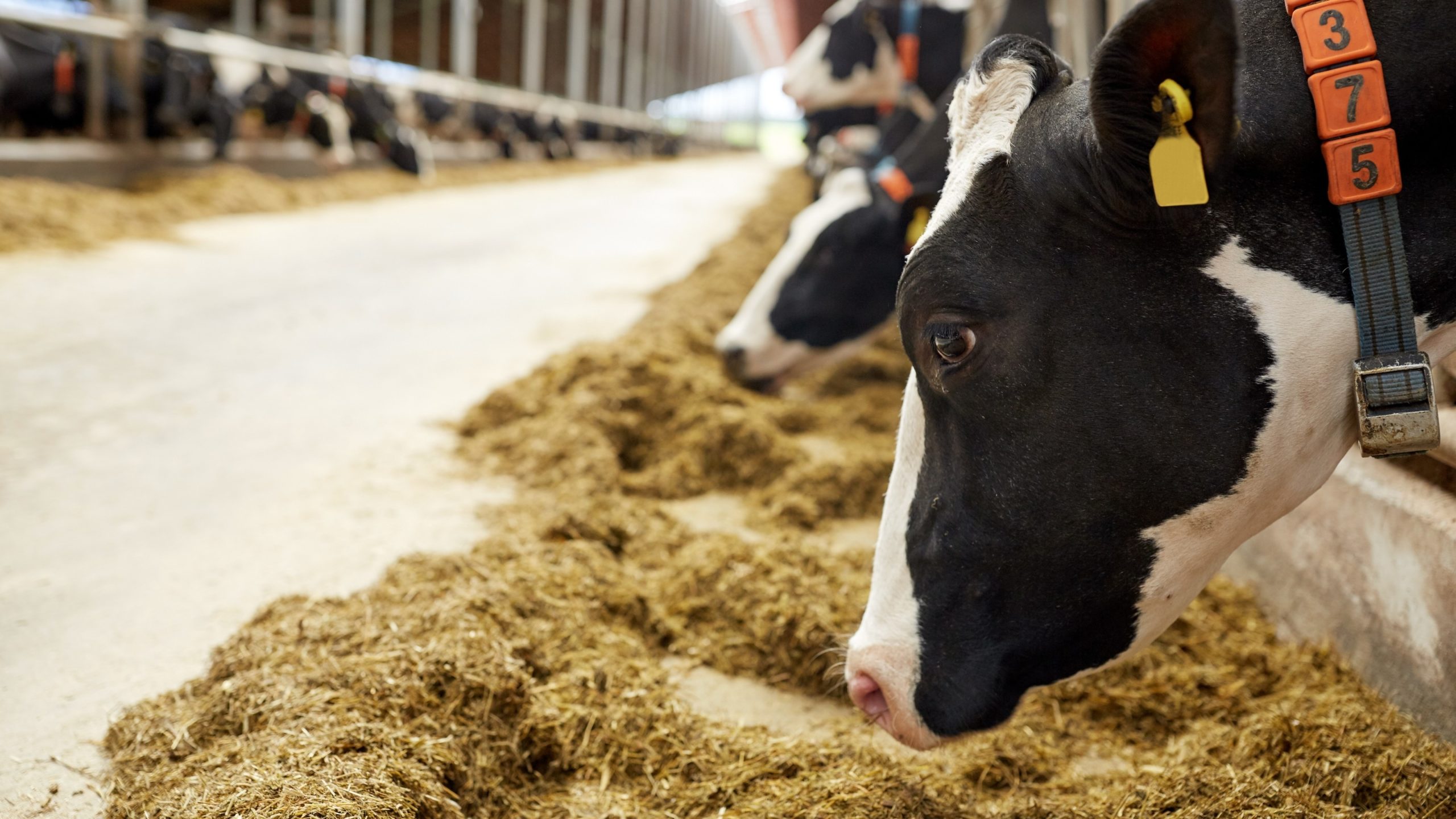 SHRI RAJ BROKERS - Vyapar Times